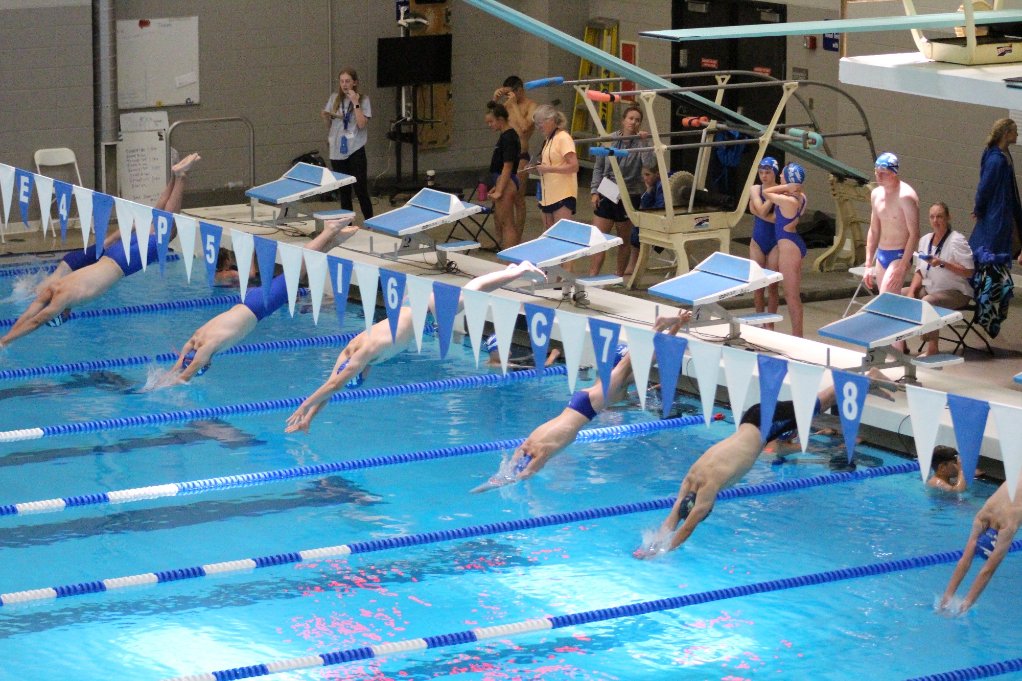 Fort Collins Area Swim Team Home